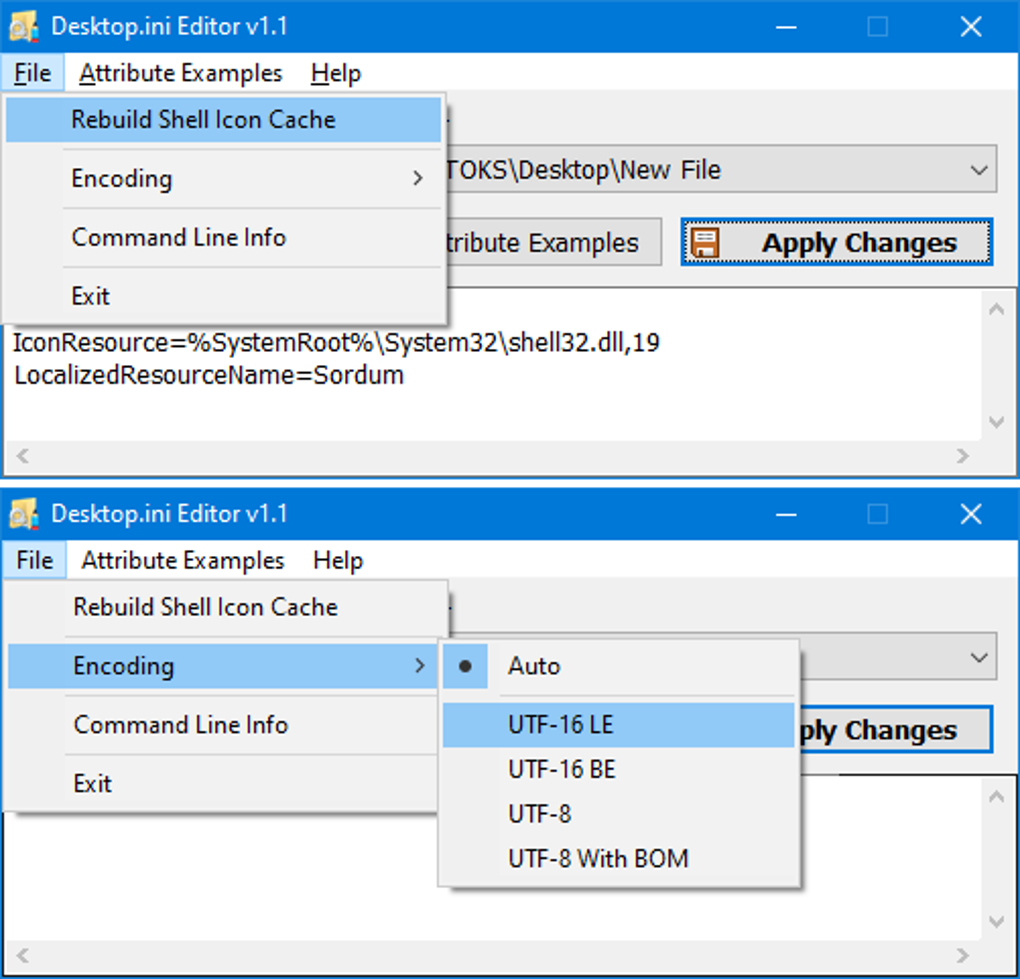 Desktop.ini Editor - Descargar